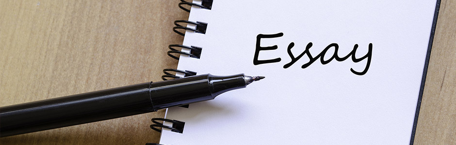 Essay Writing Guide